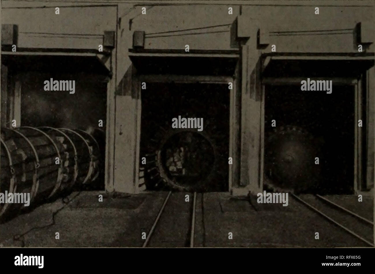 Sapwood Decay High Resolution Stock Photography and Images - Alamy