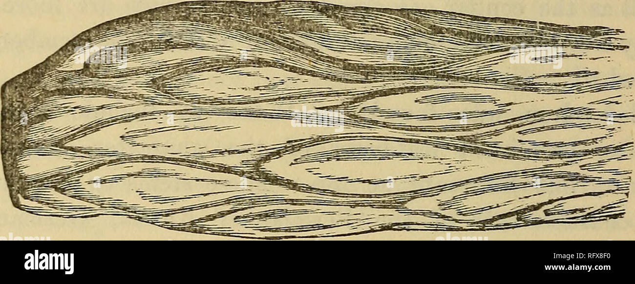 . The Canadian record of science. Natural history. 160 Geology and ...