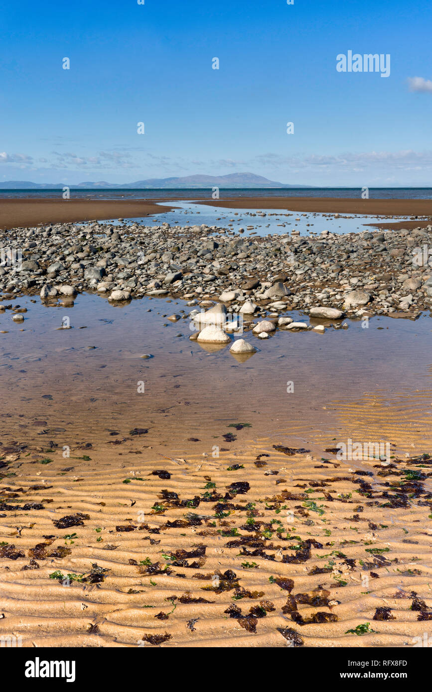 View fro North West Cumbrian coast over the Solway Fiirth at low tide ...