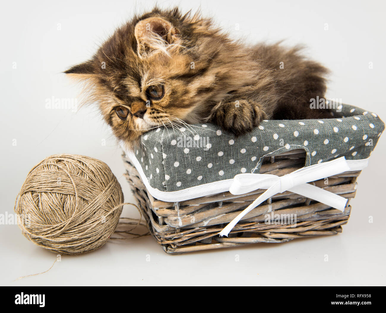 Coat strings hi-res stock photography and images - Alamy