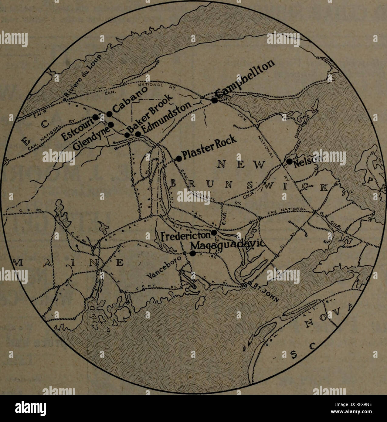 . Canadian forest industries July-December 1919. Lumbering; Forests and ...