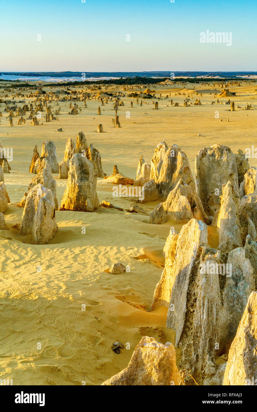 pinnacles desert of nambung national park, western australia Stock ...