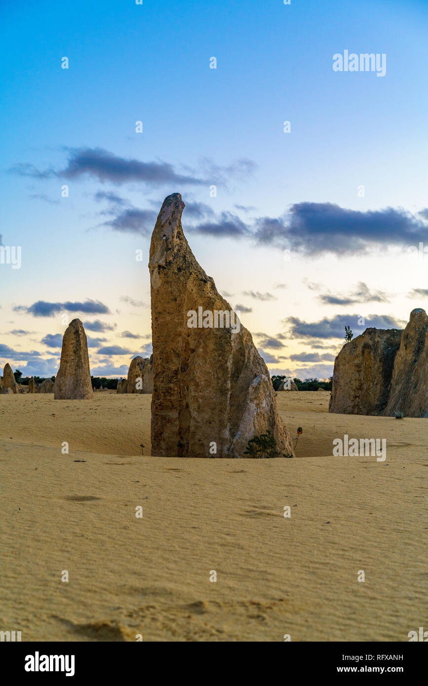 The Pinnacles Western Australia High Resolution Stock Photography and ...
