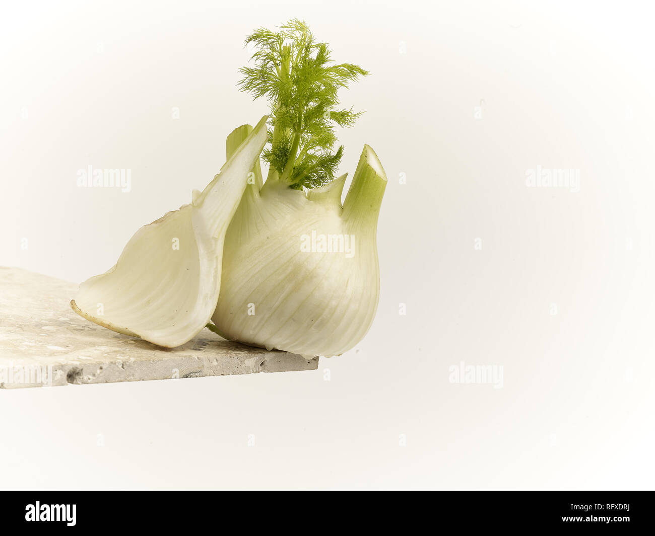 Fennel bulb vegetable food still life Stock Photo - Alamy