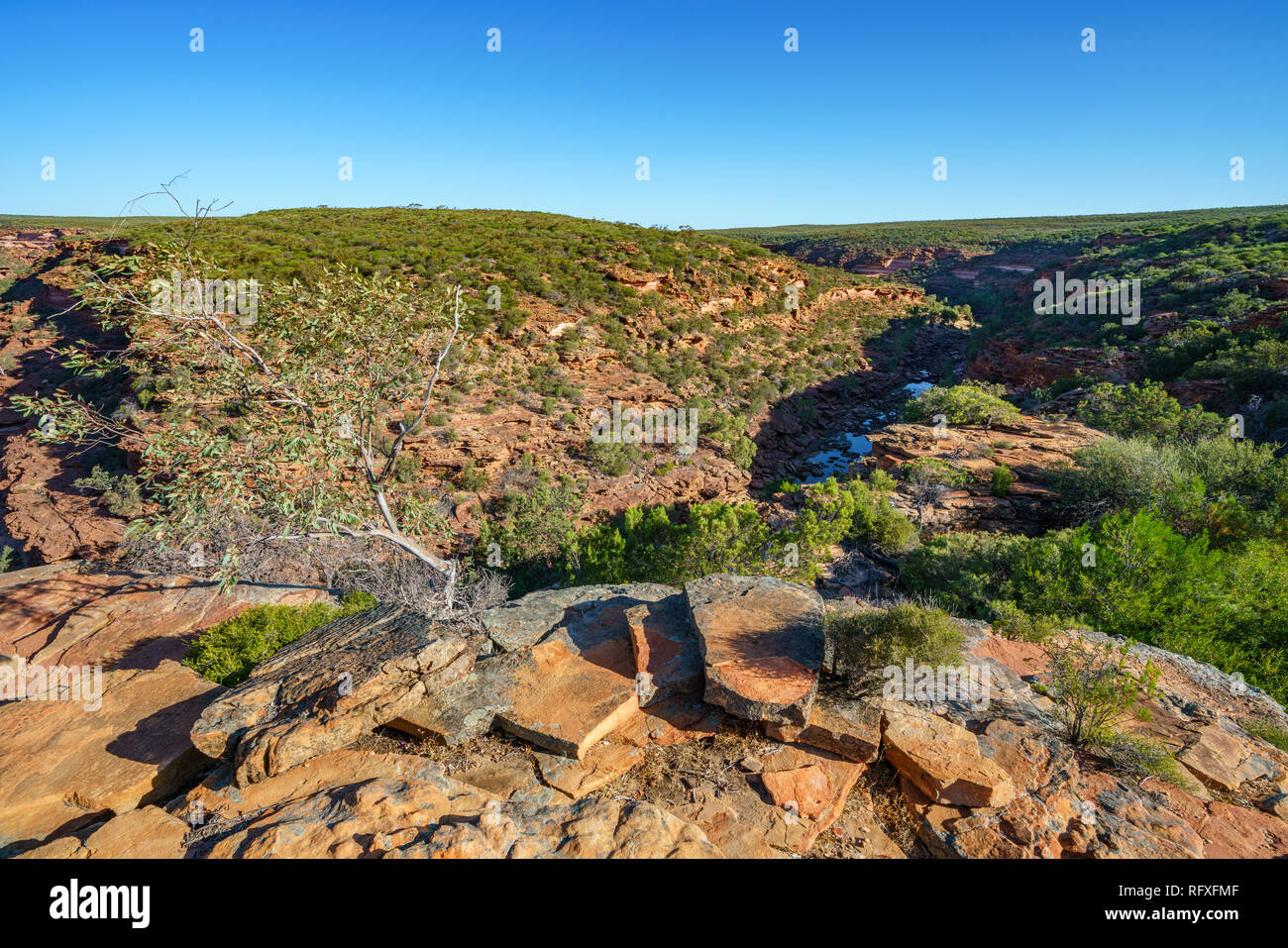 Hiking through the canyon. natures window loop trail, kalbarri national ...
