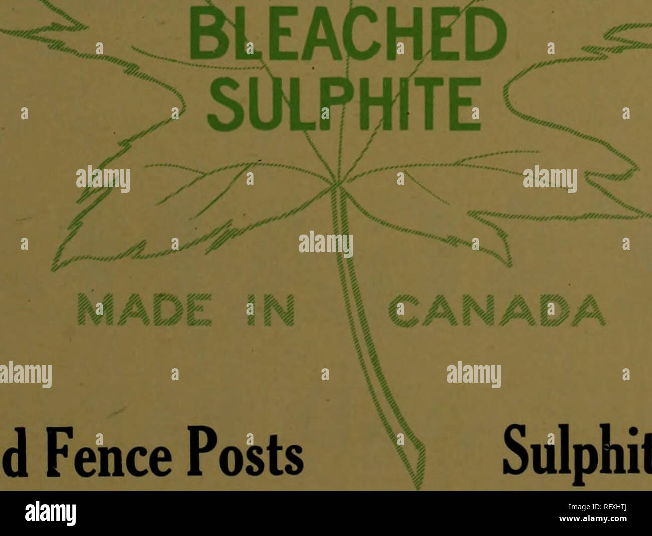 . Canadian forest industries January-June 1919. Lumbering; Forests and ...