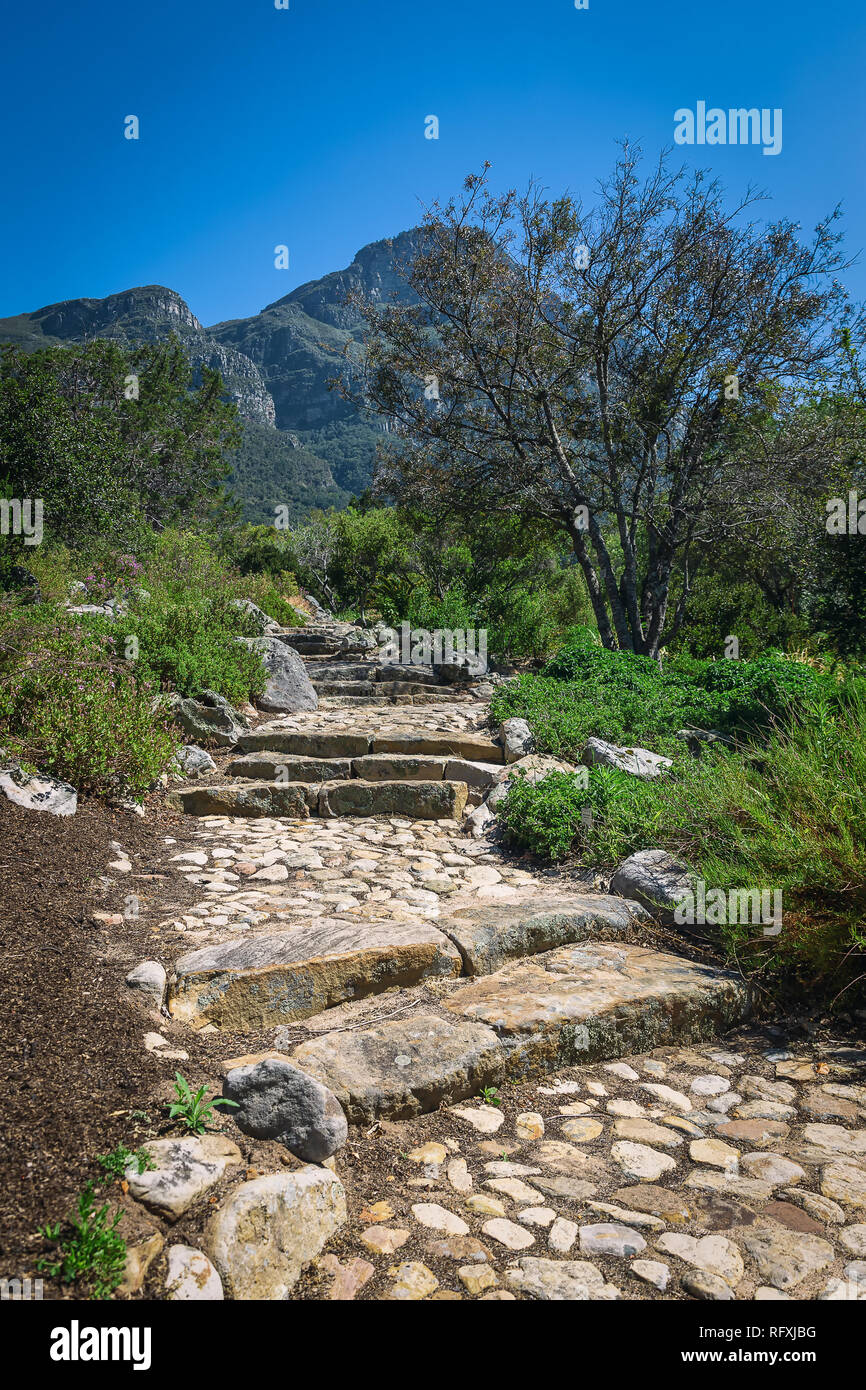 Kirstenbosch botanical garden hi-res stock photography and images - Alamy