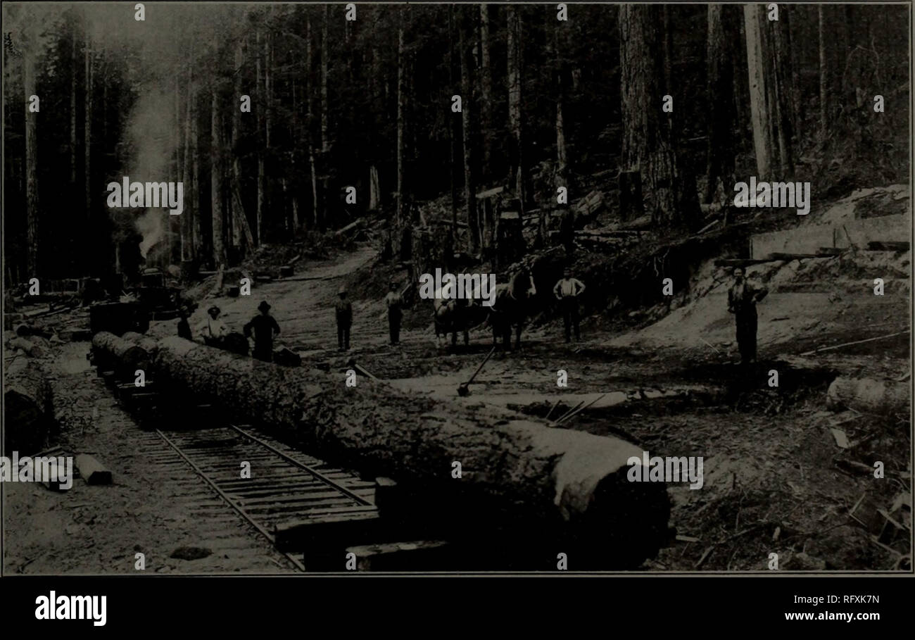 Gasoline logging locomotive hi-res stock photography and images - Alamy