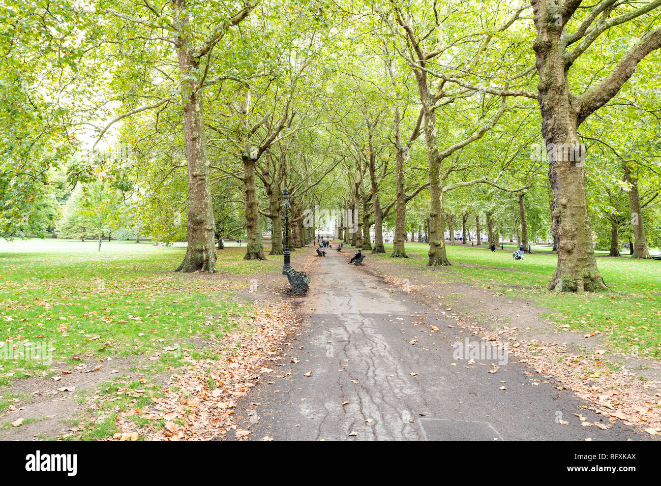 Regents park london benches hi-res stock photography and images - Alamy