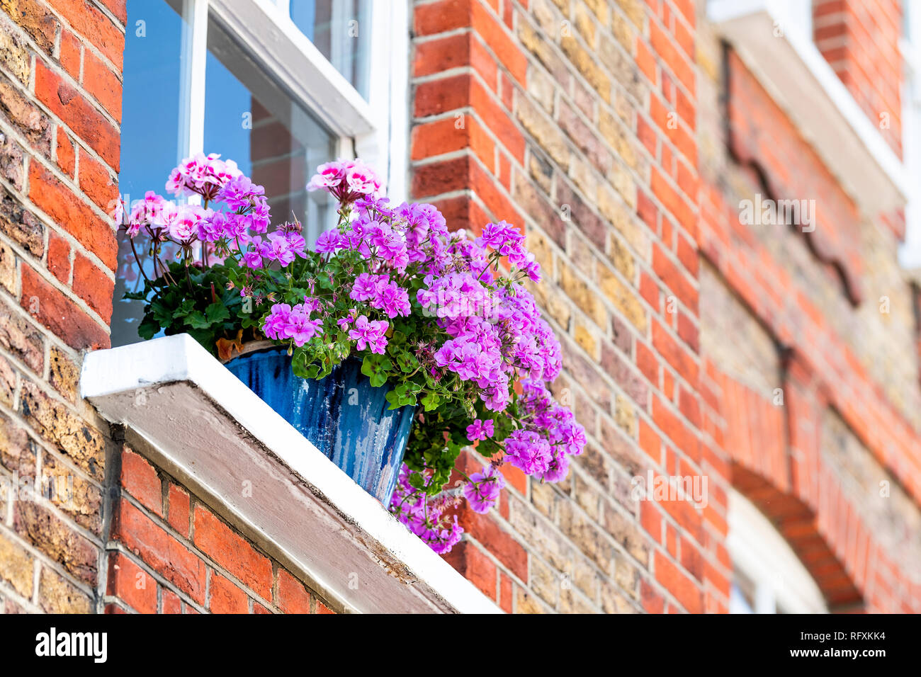 Purple color flower basket pot box decoration on summer day with brick ...