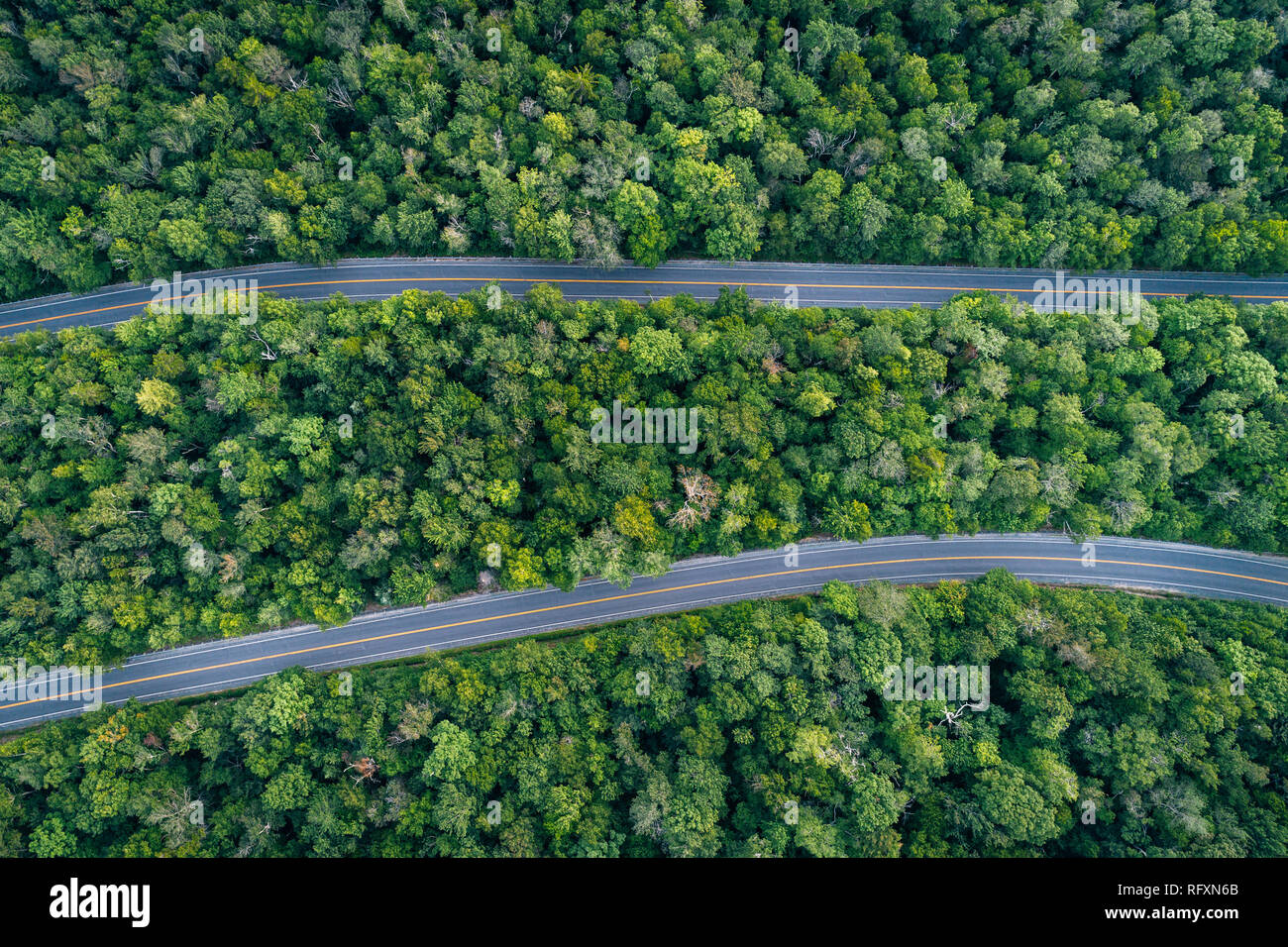 Two roads hi-res stock photography and images - Alamy