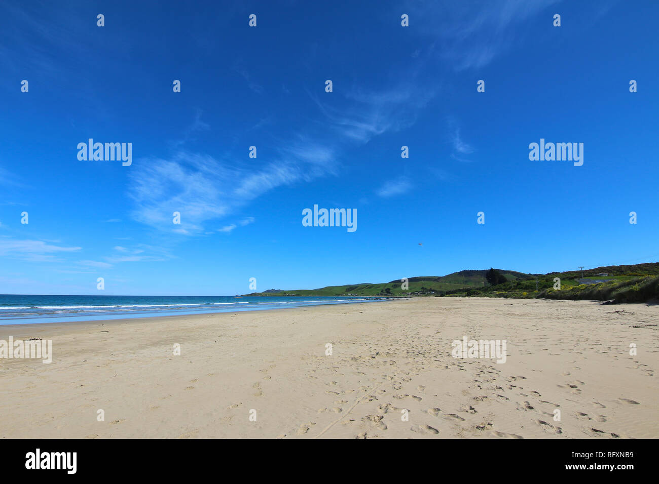 Kaka point hi-res stock photography and images - Alamy