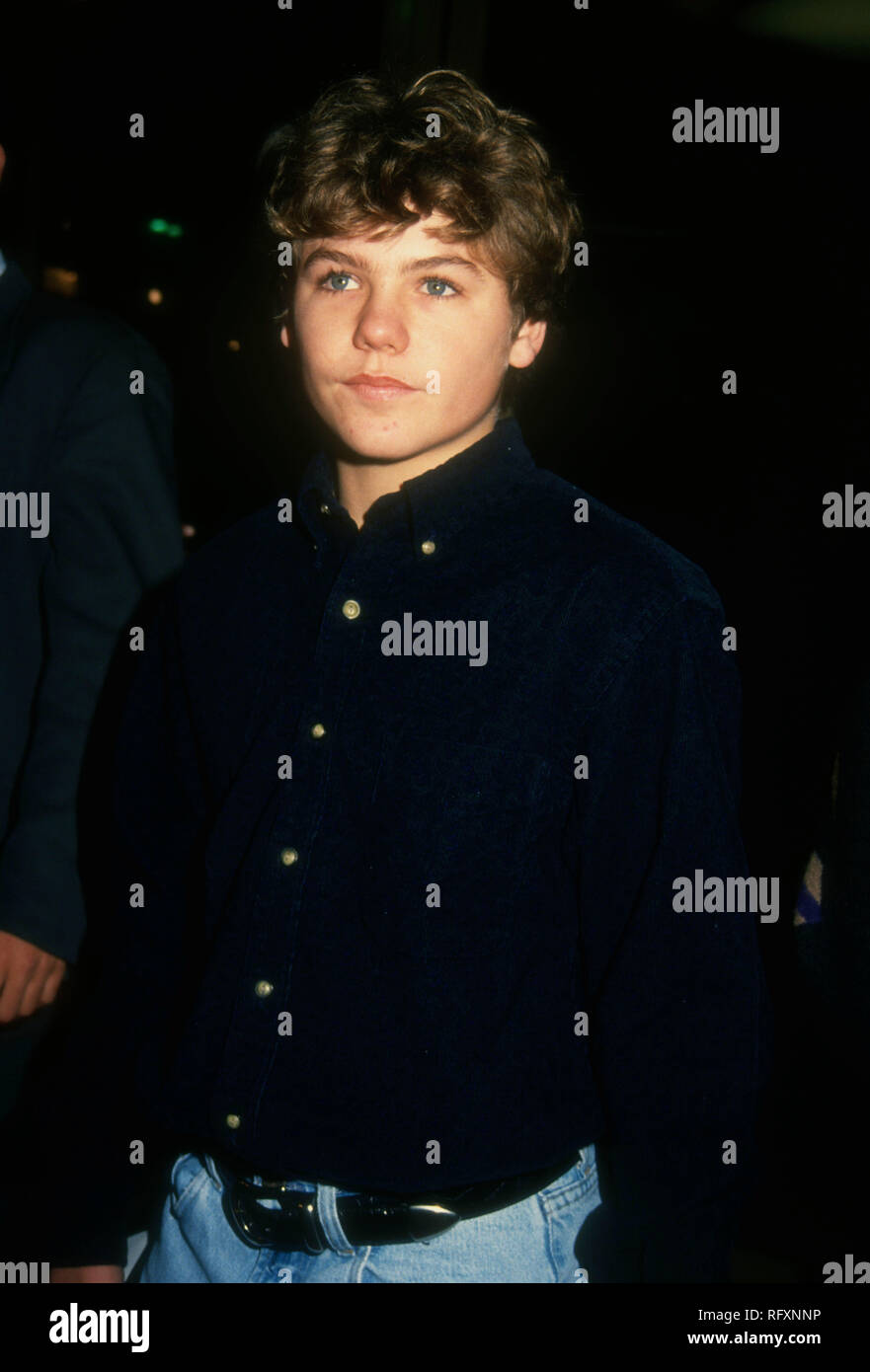 WESTWOOD, CA - NOVEMBER 15: Actor Jason James Richter attends Warner ...