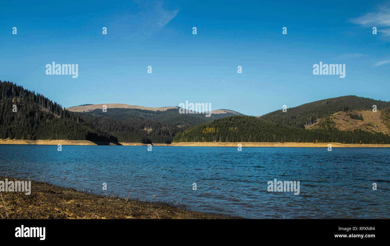 Lake and forest idyllic scene Stock Photo - Alamy
