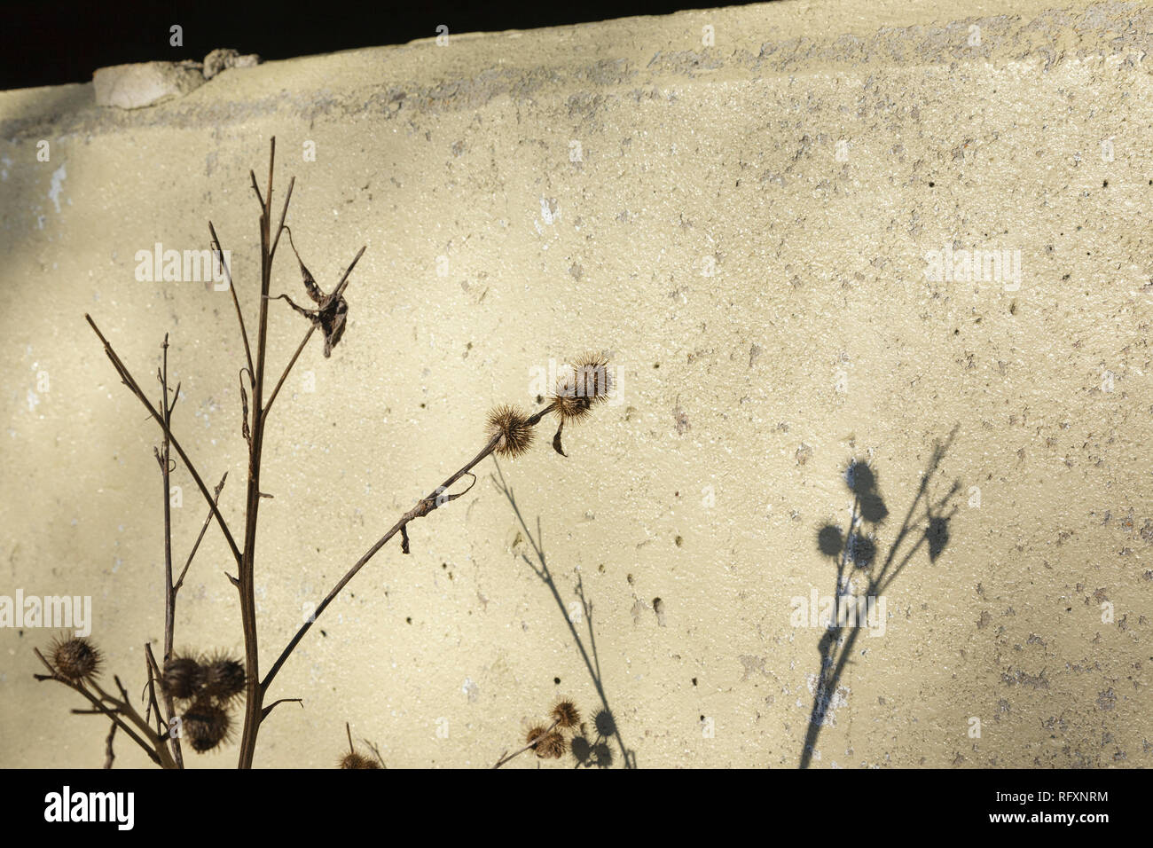 Remnants of Fort Dearborn at Odiorne Point State Park in Rye, New ...
