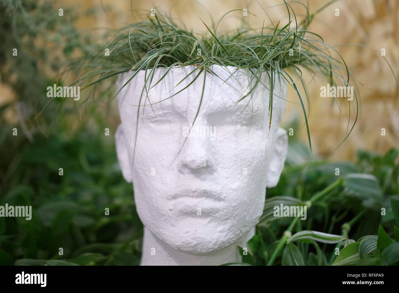 Pot for indoor plants in the shape of a head of man, that made of ...