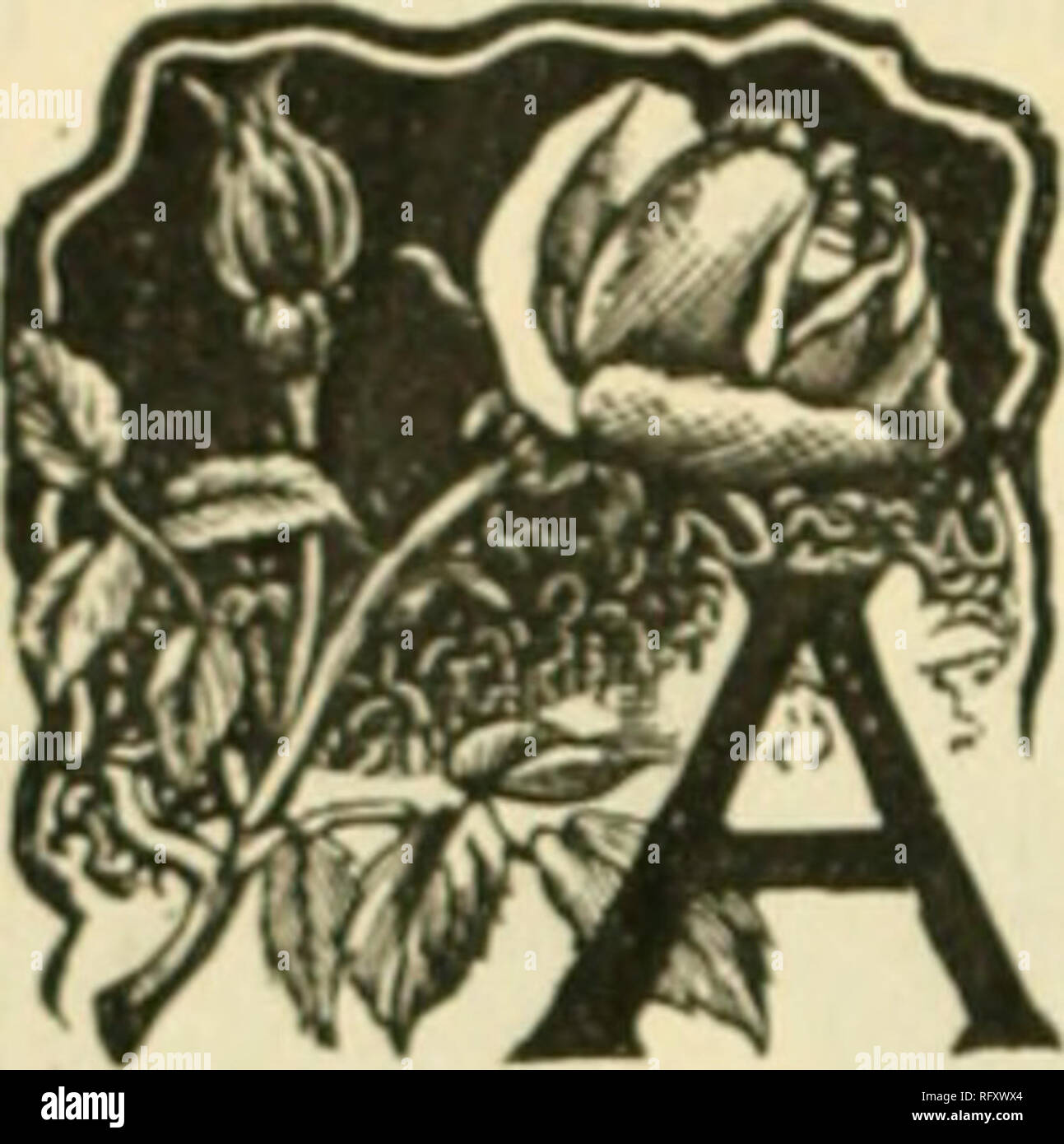 Thk design hi-res stock photography and images - Alamy