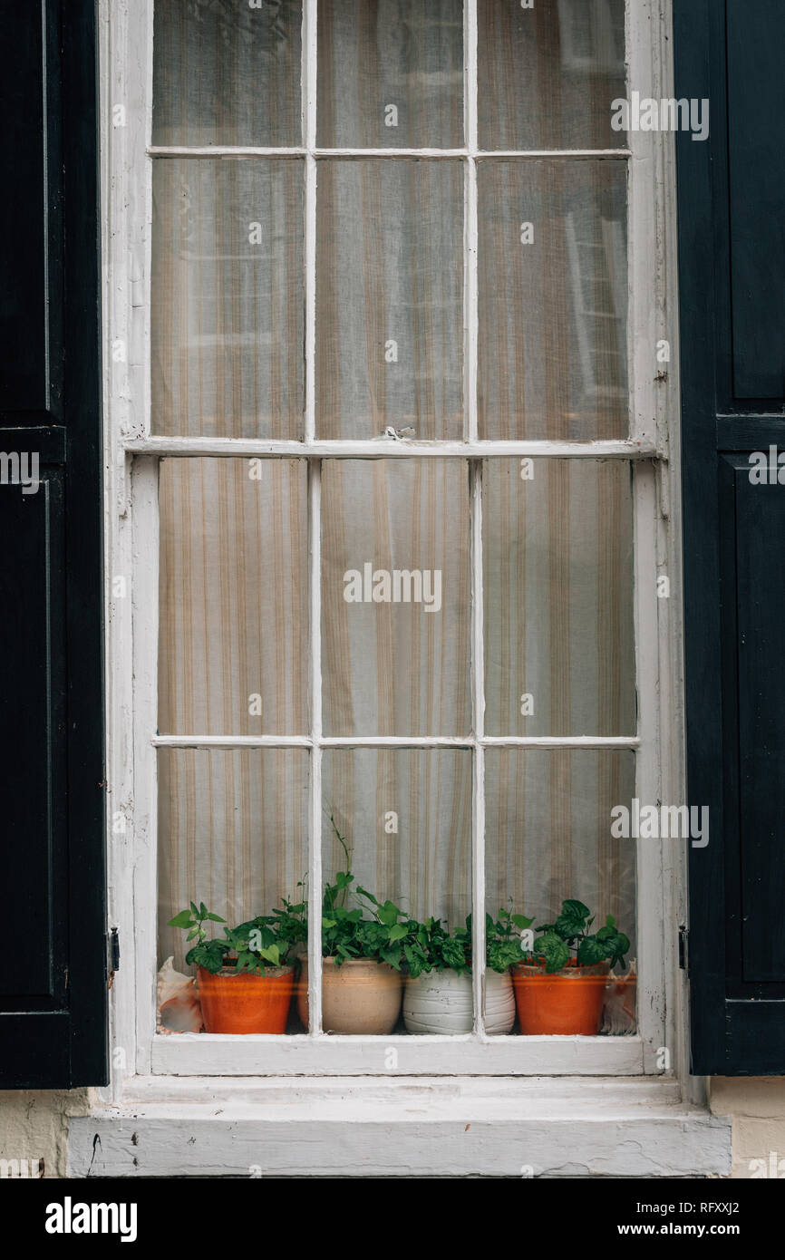 Window of an old row house, in Old Town, Alexandria, Virginia Stock ...