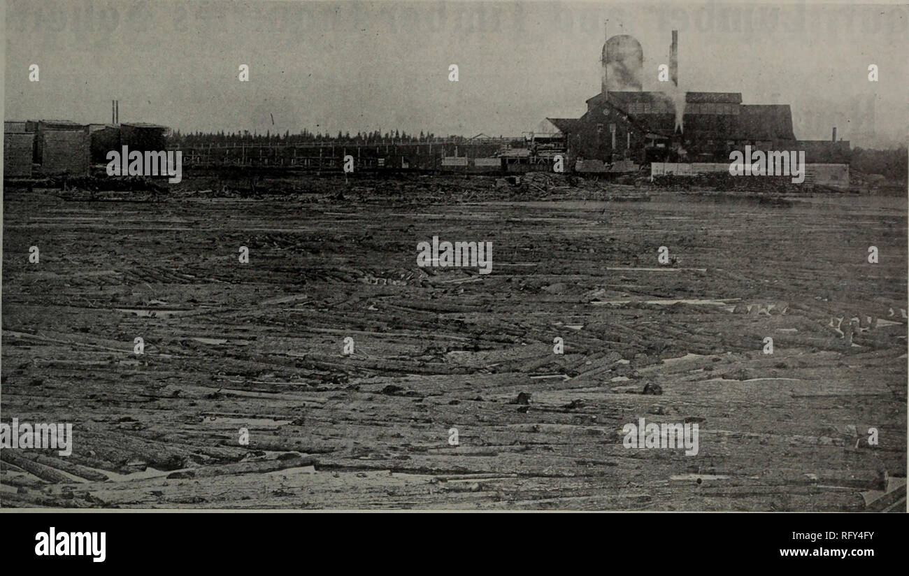 . Canadian forest industries January-June 1913. Lumbering; Forests and ...