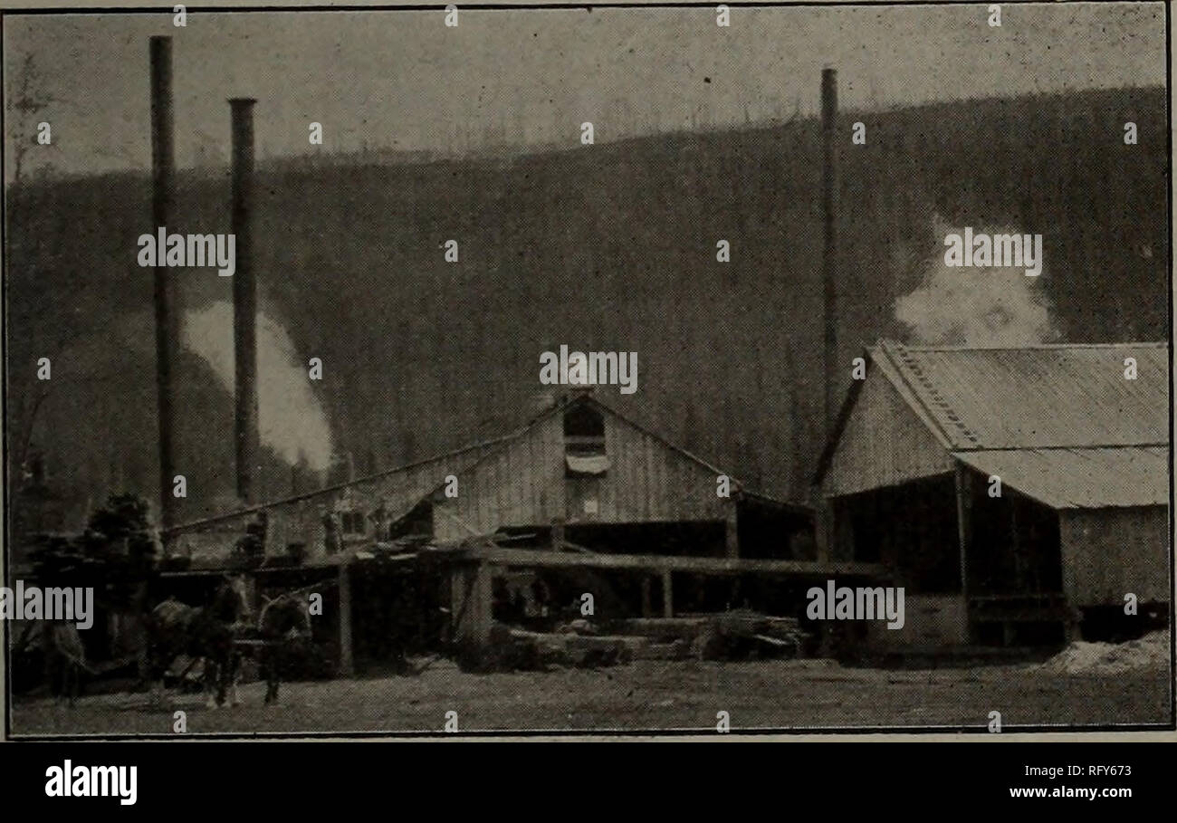 Pulp mill washington hi-res stock photography and images - Alamy