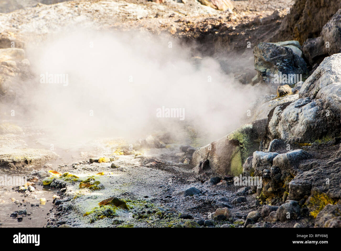 Thermal release hi-res stock photography and images - Alamy