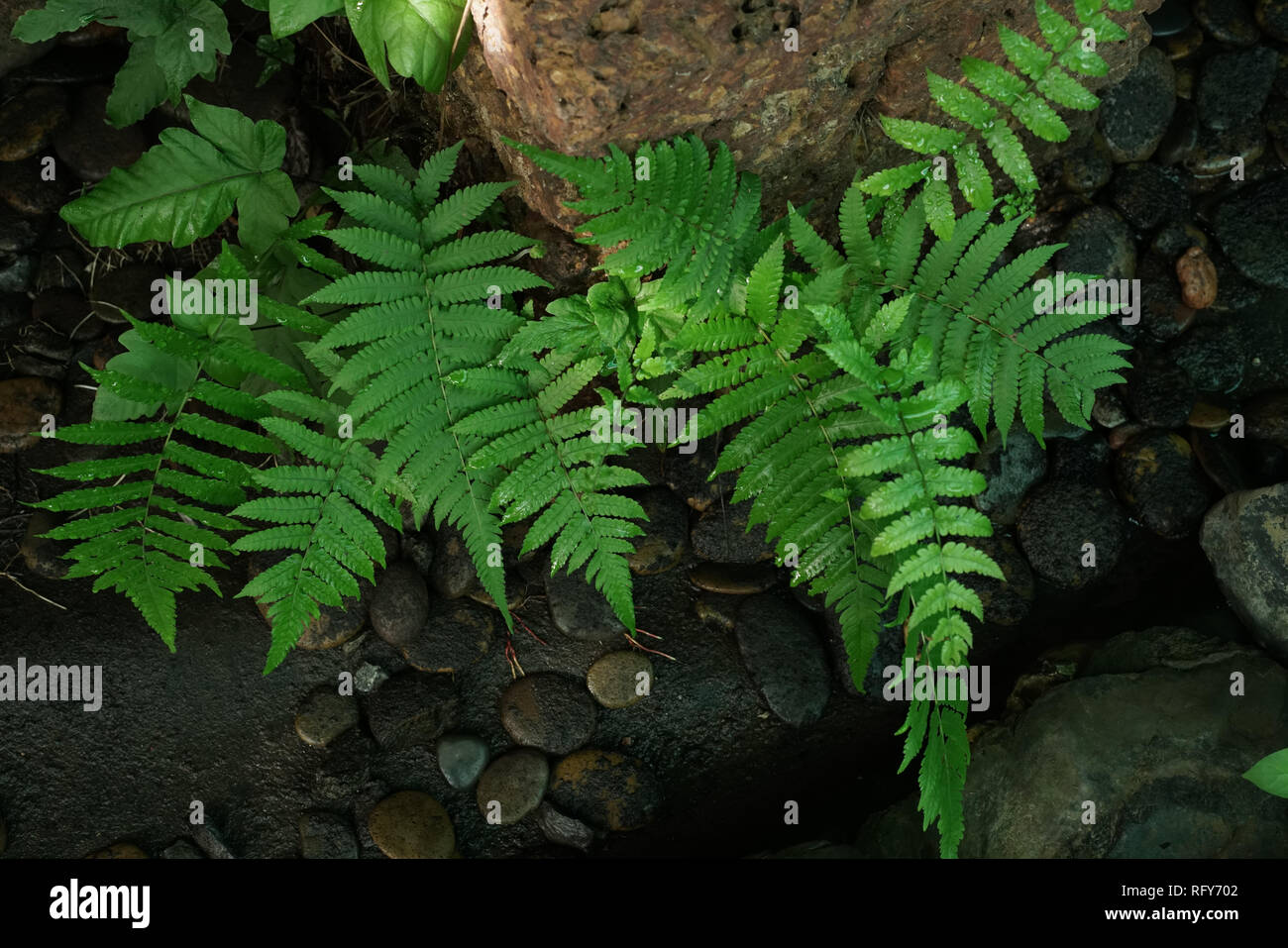 Shade river hi-res stock photography and images - Alamy