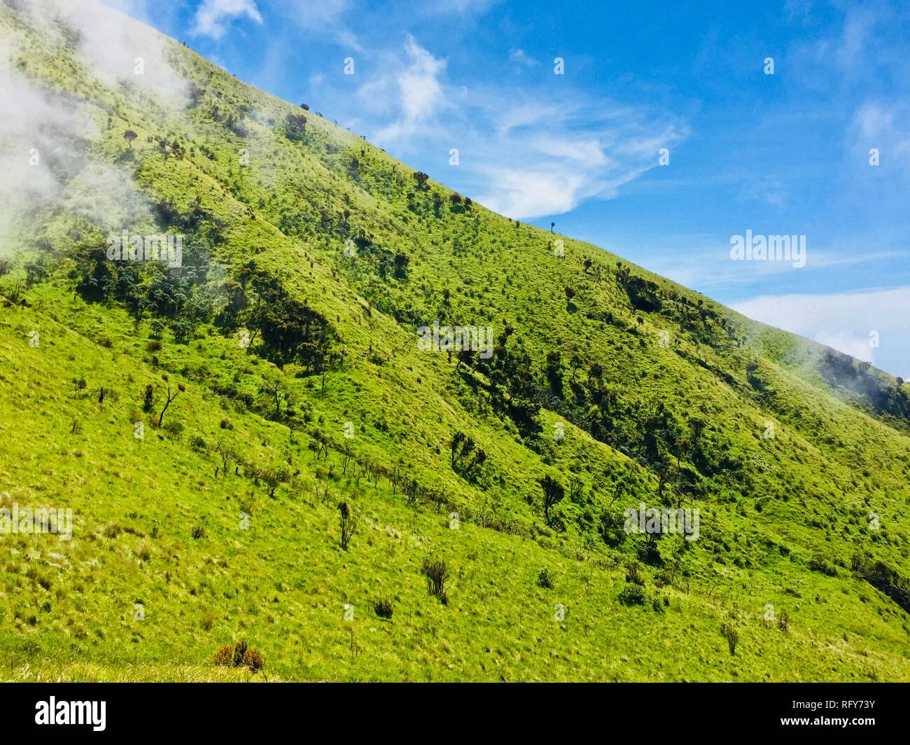 Mount Merbabu hiking experience Stock Photo - Alamy