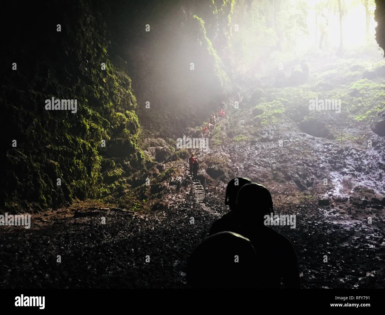 Exploring the beauty of the Gua Jomblang Stock Photo - Alamy