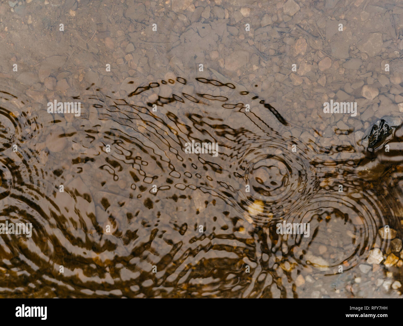 Ripple in water hi-res stock photography and images - Alamy