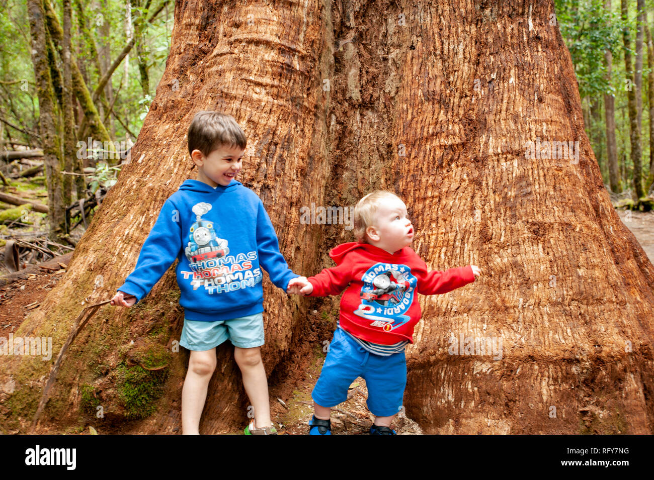 Boy age 10 to 14 months hi-res stock photography and images - Alamy