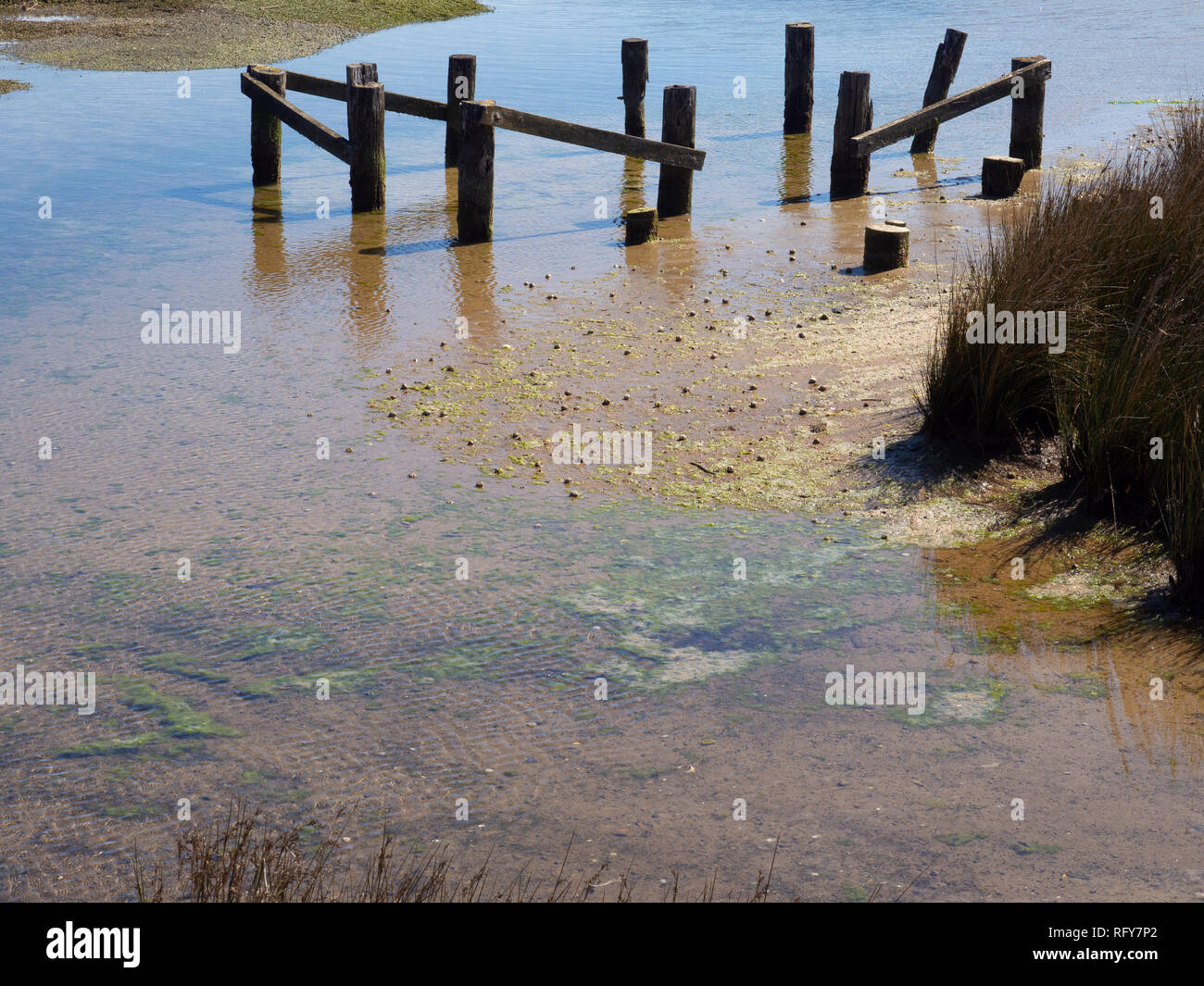Old Wooden Posts In Water Stock Photos & Old Wooden Posts In Water ...