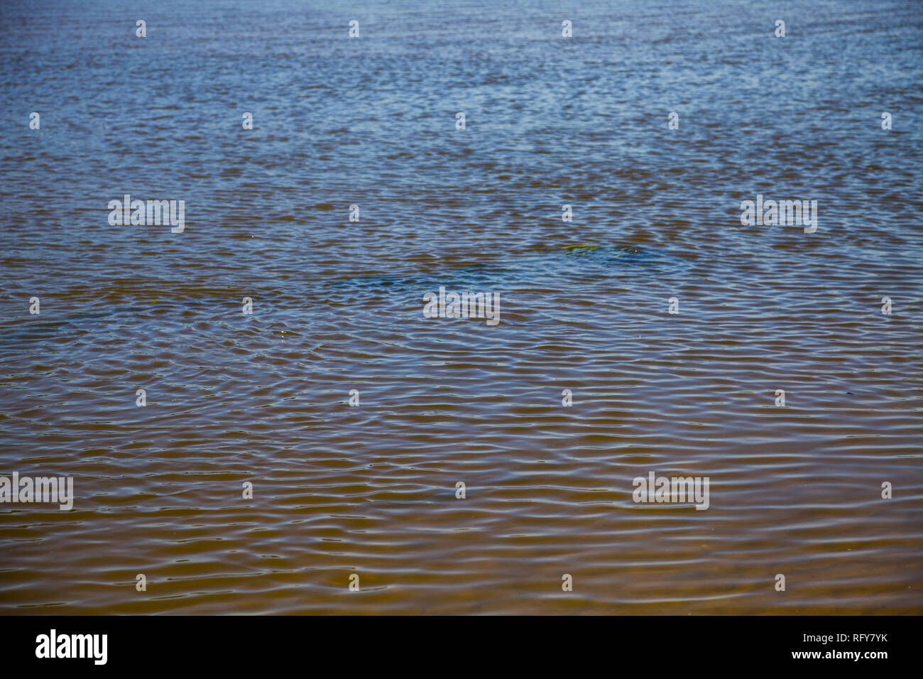 Surface of the river close up. Water background Stock Photo - Alamy