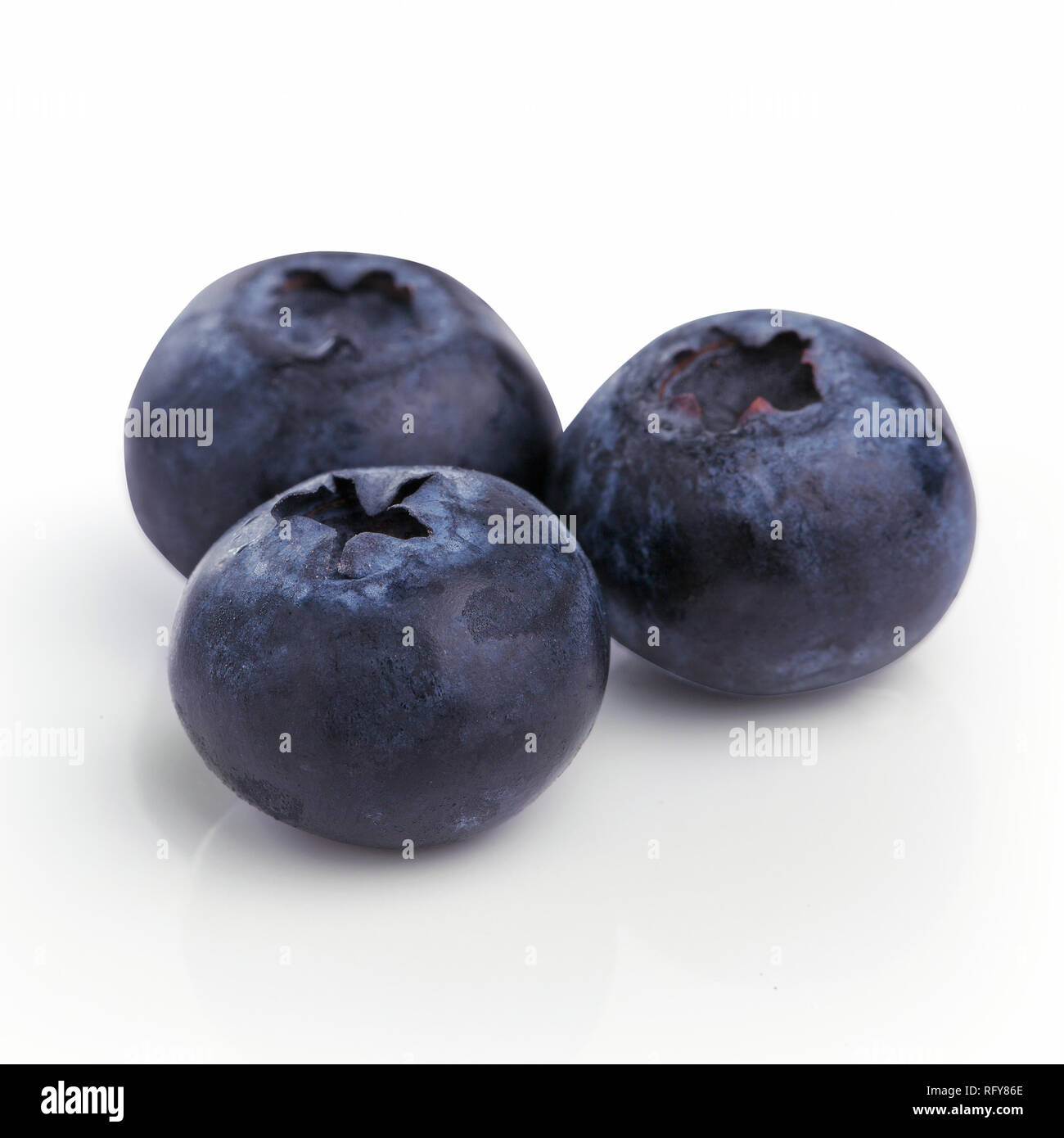Blueberries isolate on white background Stock Photo - Alamy