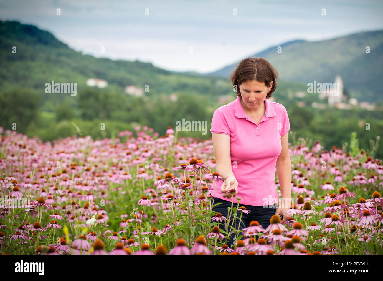 Real farmer woman in coneflower field Stock Photo - Alamy