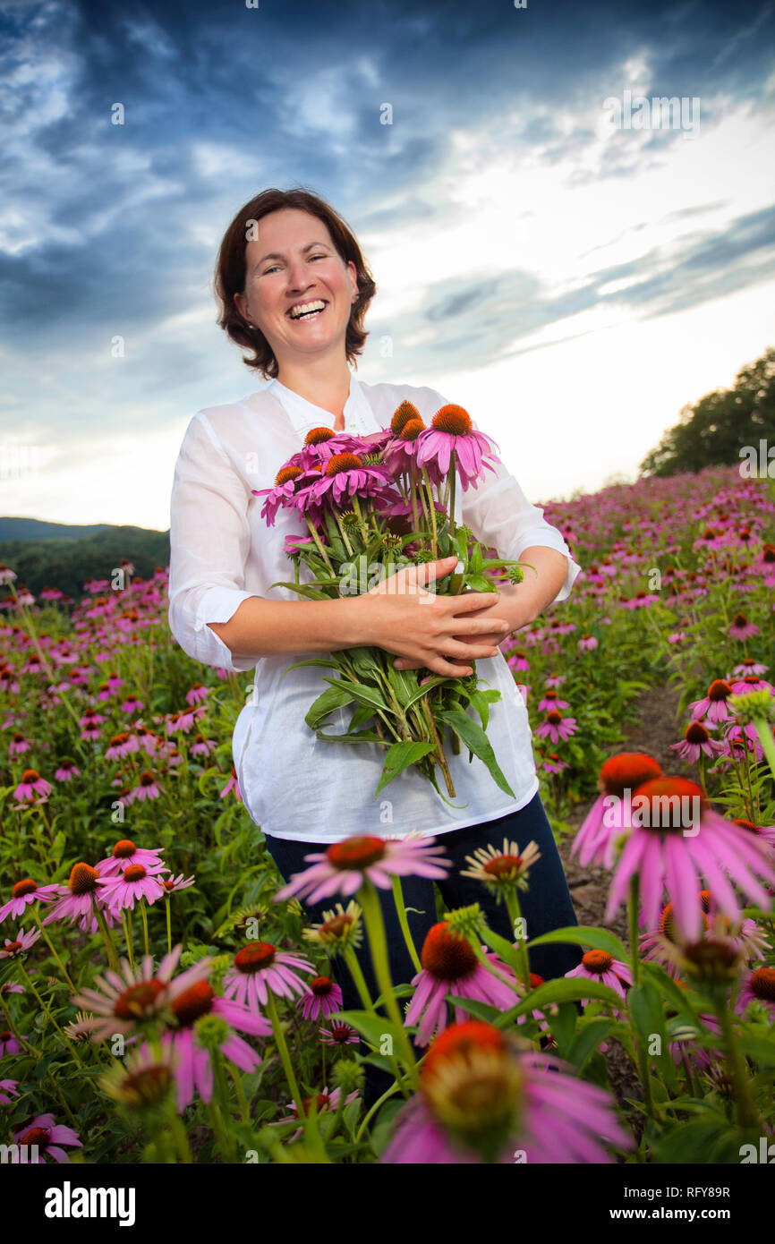 Real farmer woman in coneflower field Stock Photo - Alamy