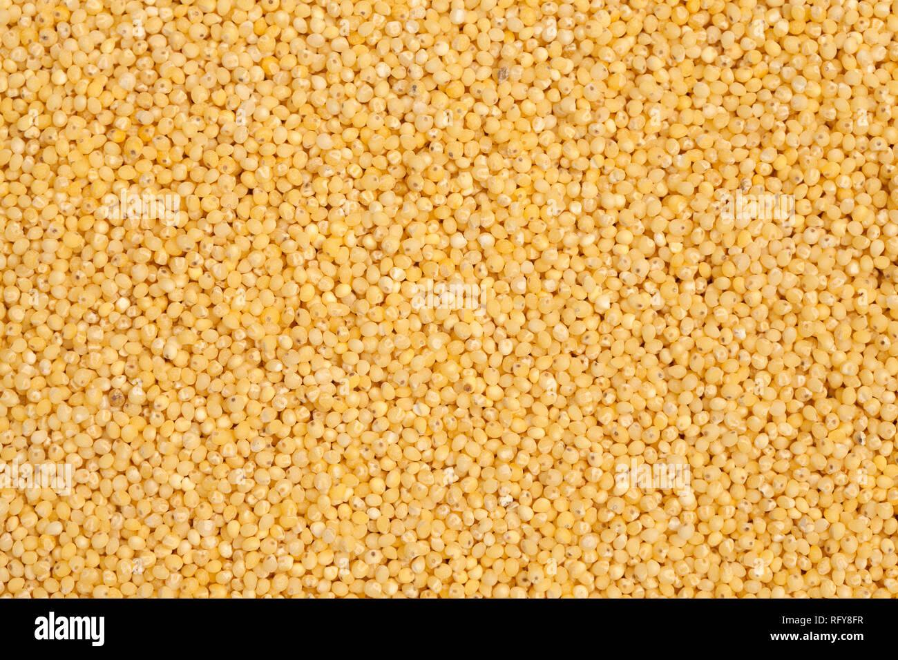Millet - image of textured background Stock Photo - Alamy