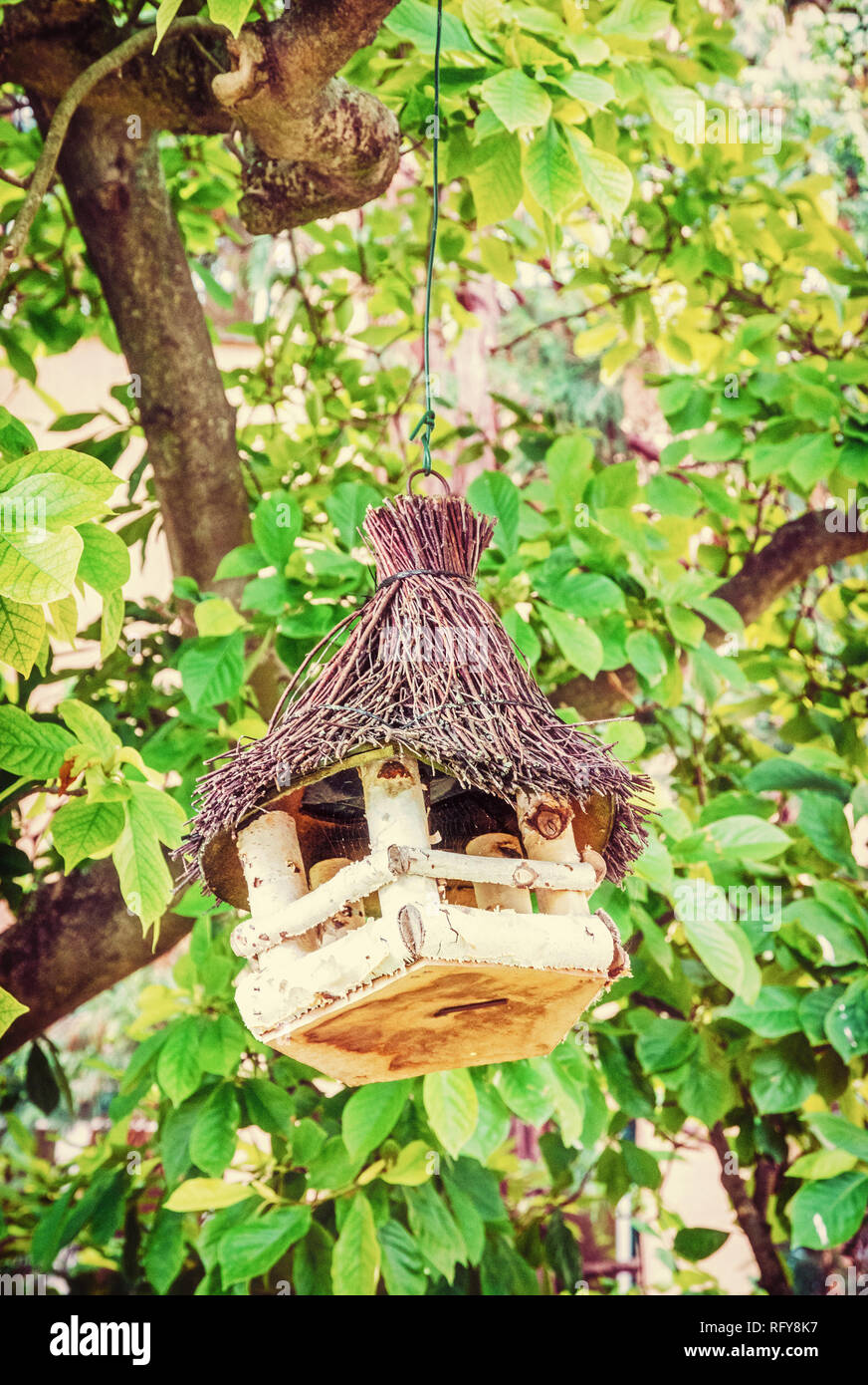 Wooden bird house hanging on the green tree. Ornithology theme ...