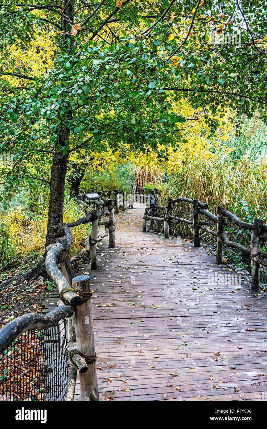 Rural tourist trail by autumn. Seasonal natural scene. Beauty in nature ...