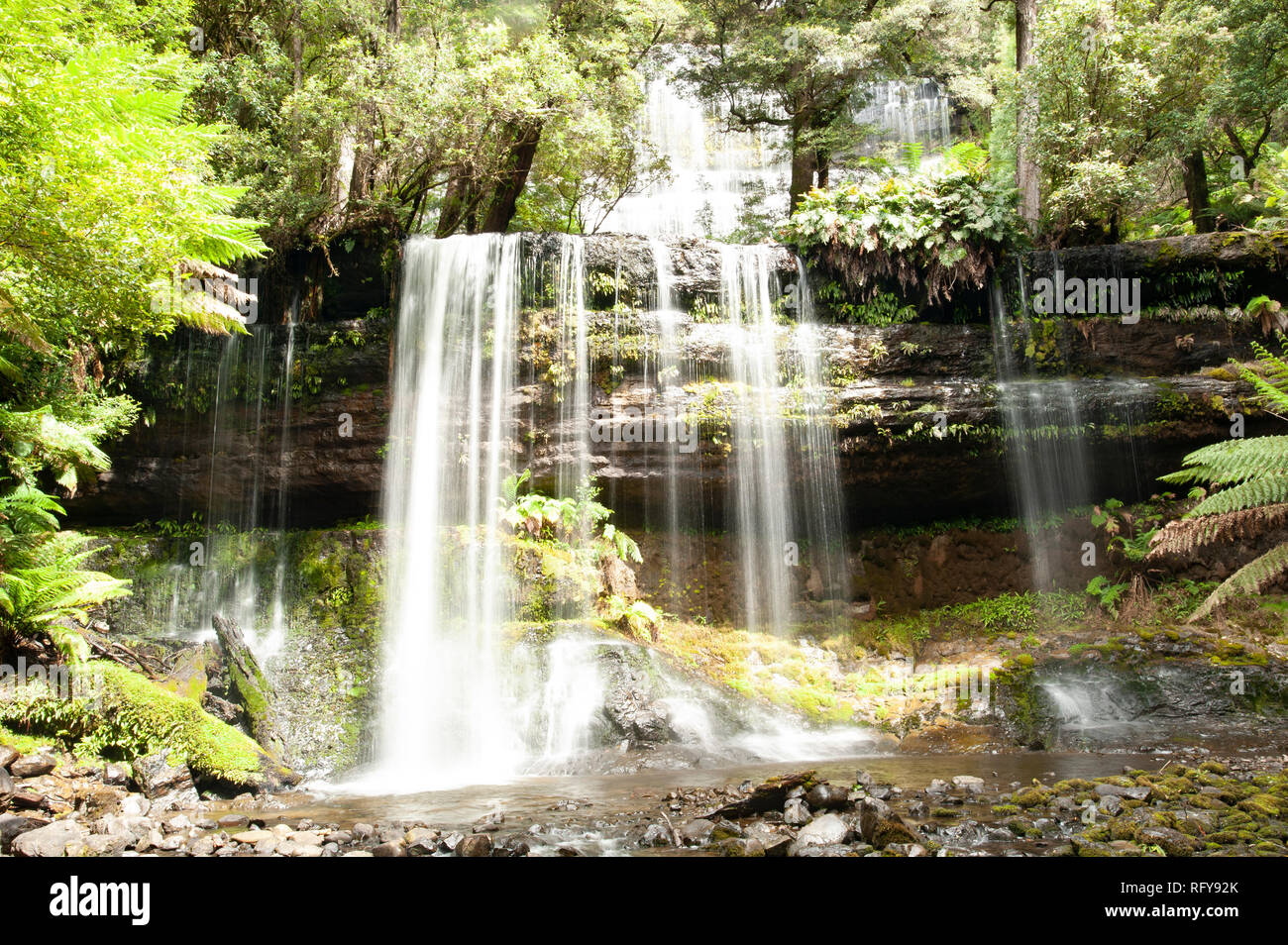 Russell Falls, Tasmania, Australia Stock Photo - Alamy