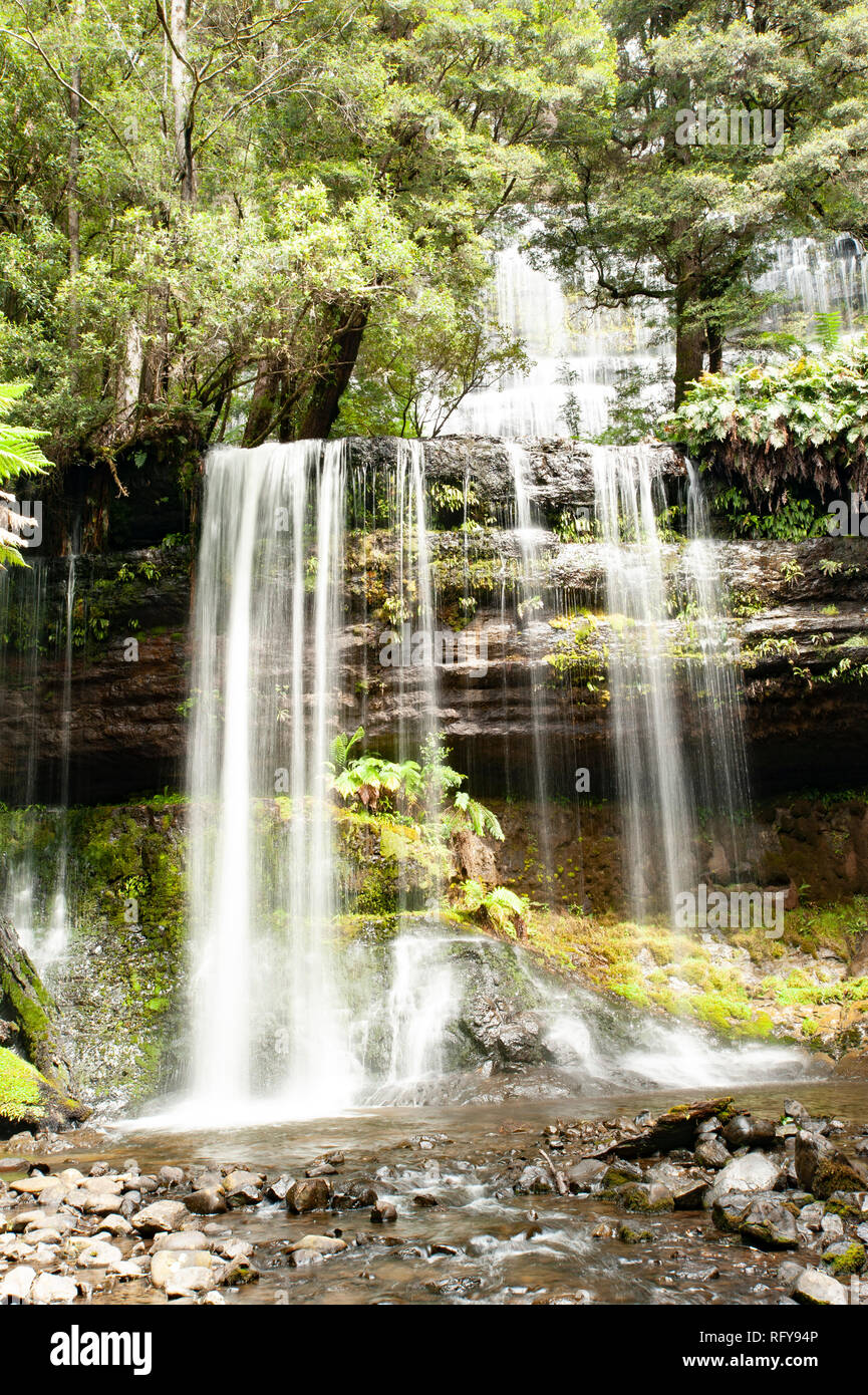 Russell Falls, Tasmania, Australia Stock Photo - Alamy