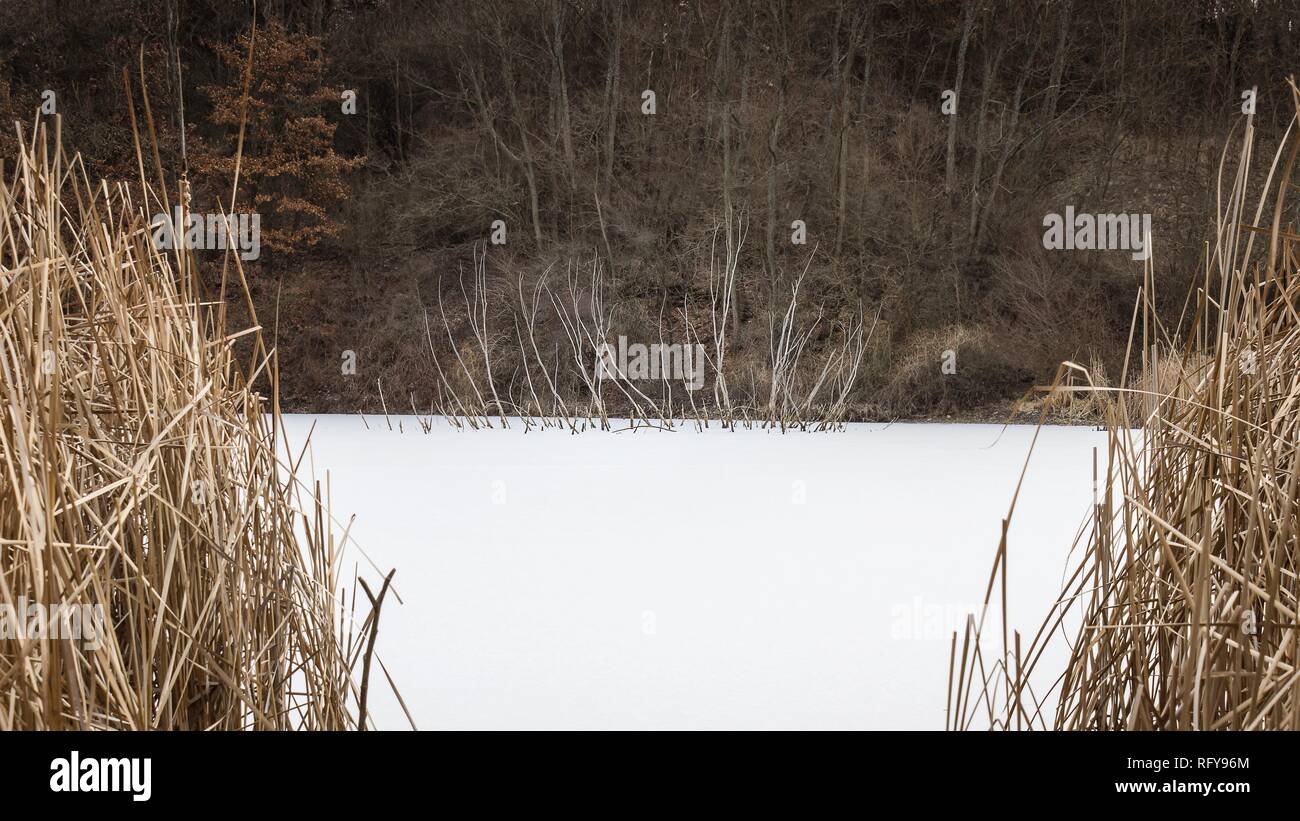 Dead leaves snow hi-res stock photography and images - Alamy