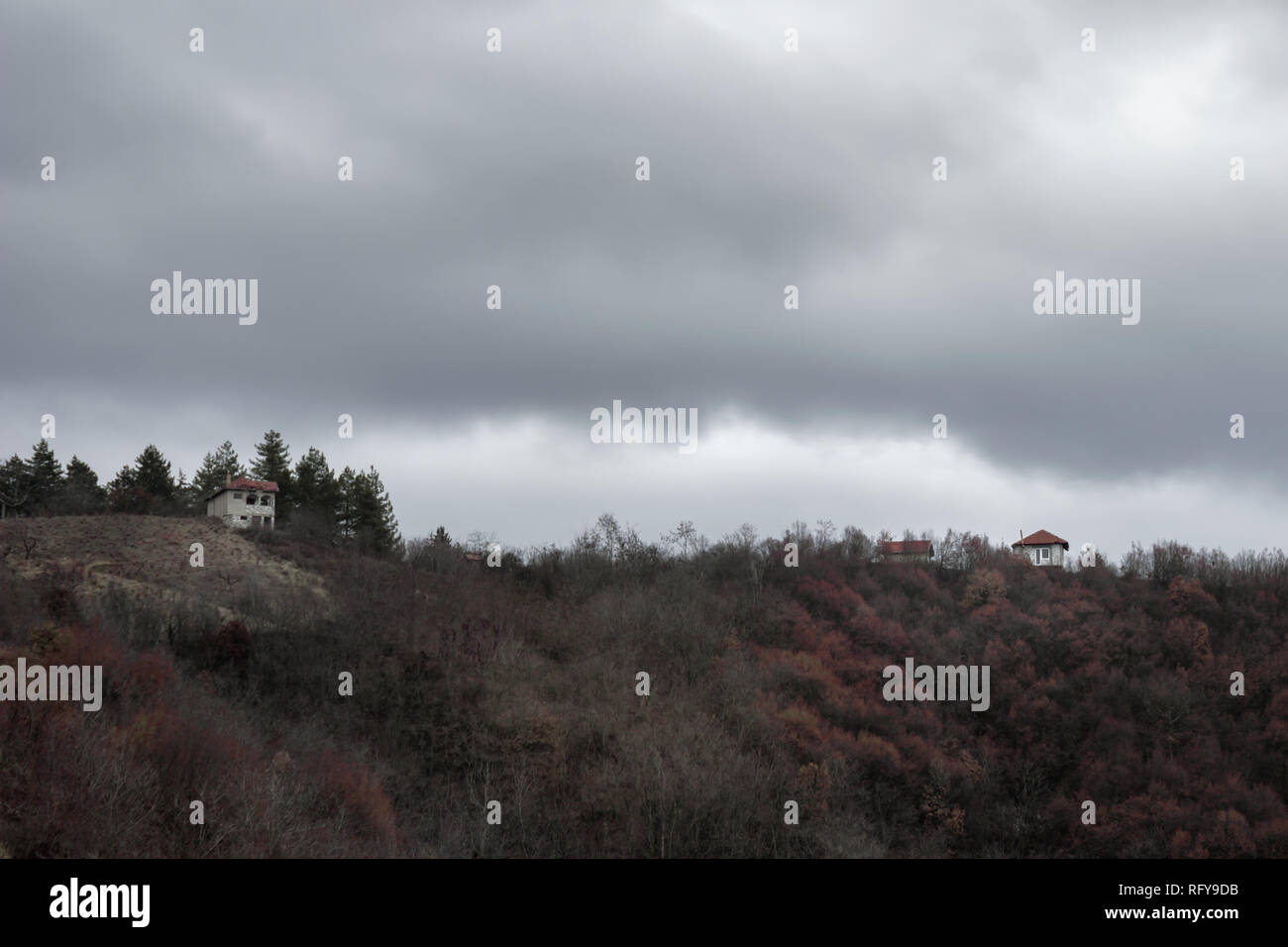 Moody, cloudy weather, late autumn forest colors and three lonely ...