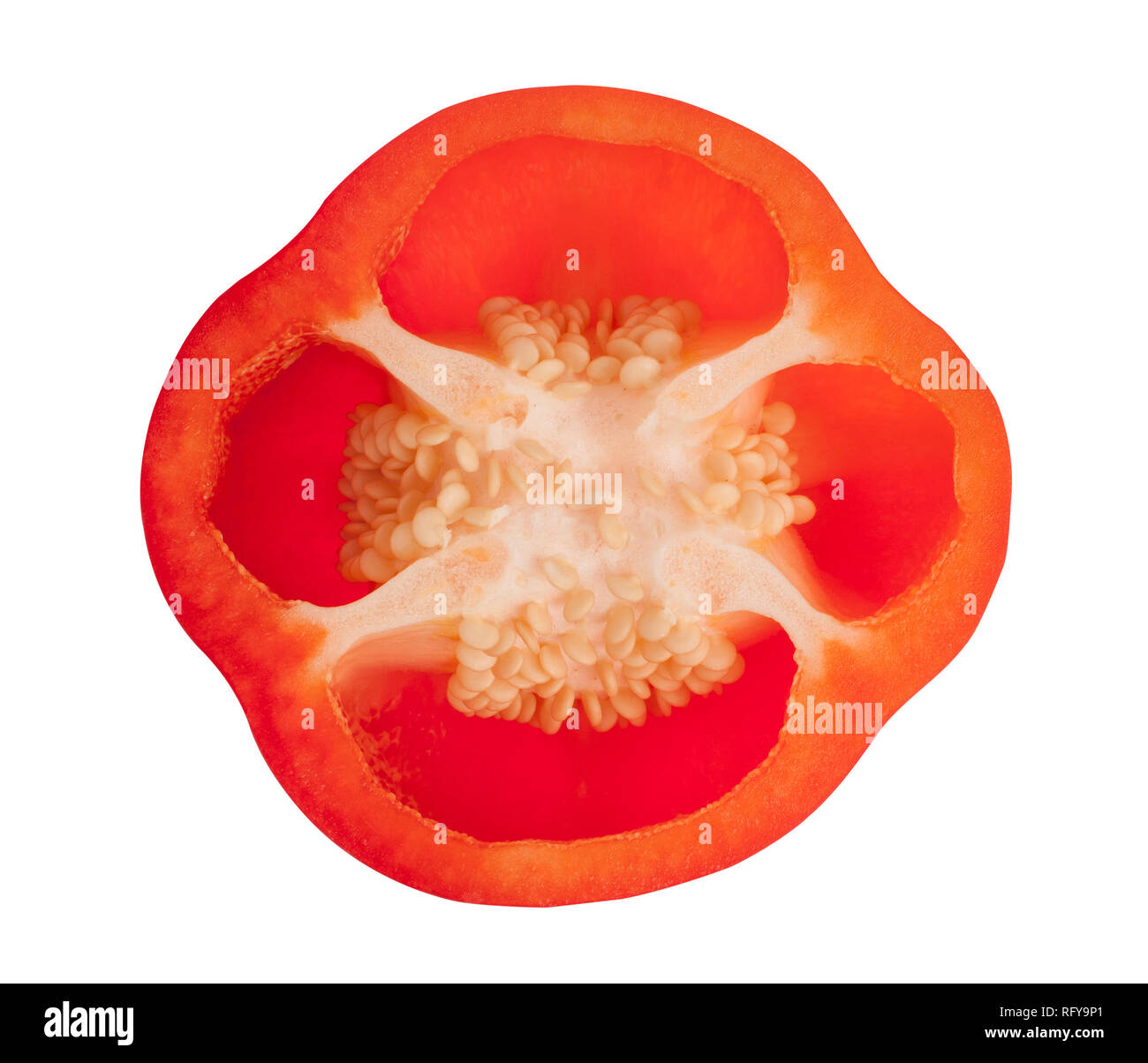 Inside view Cut Out Stock Images & Pictures - Alamy