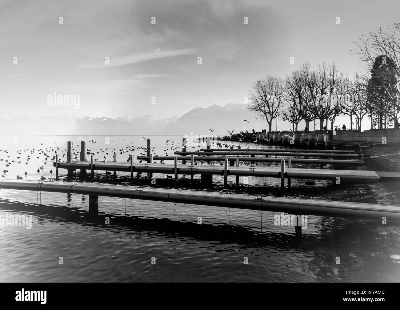 Reflection in river main Black and White Stock Photos & Images - Alamy