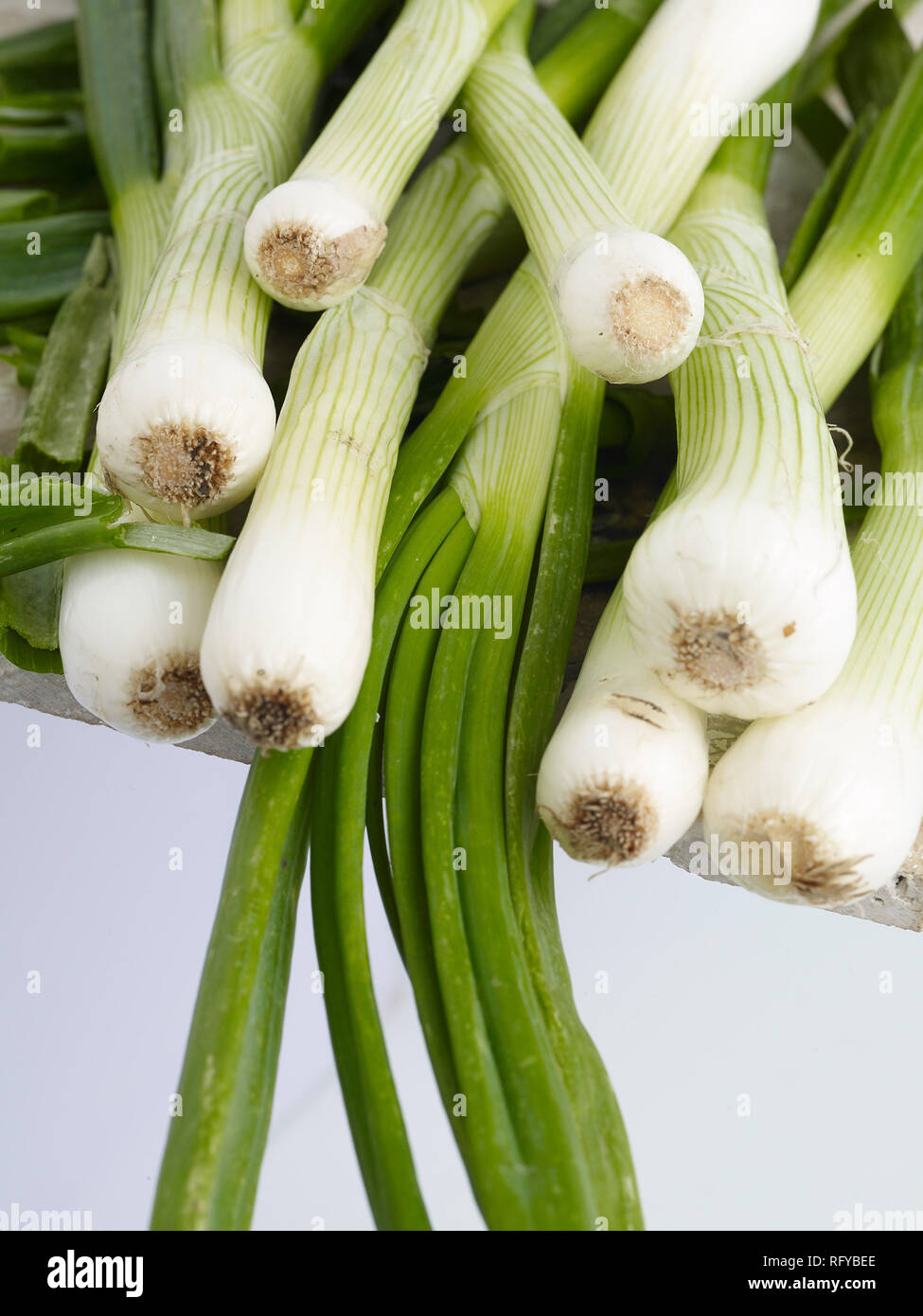 Spring onions, scallion, vegetable food still-life photograph Stock ...