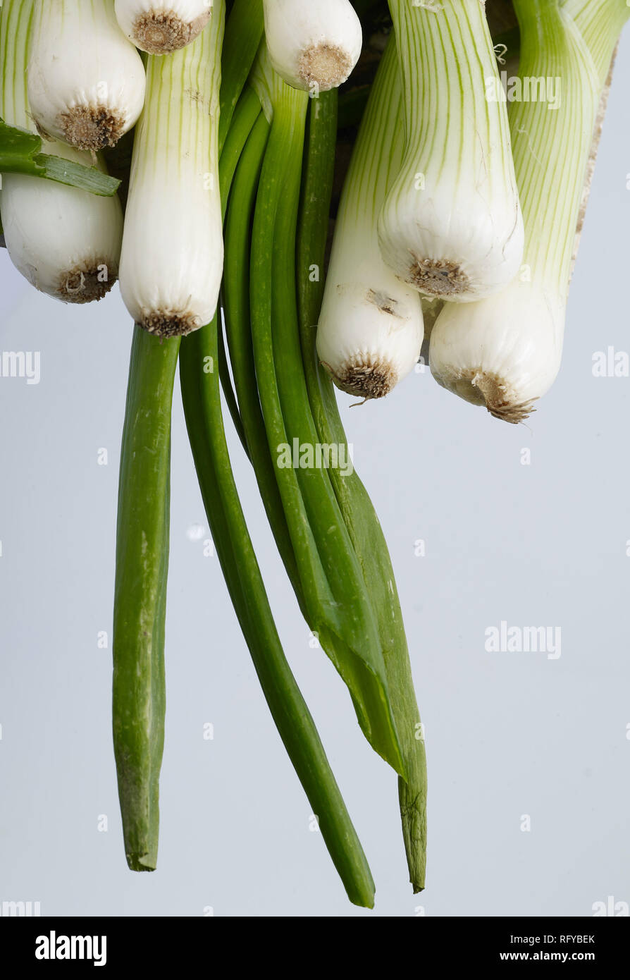 Spring onions, scallion, vegetable food still-life photograph Stock ...