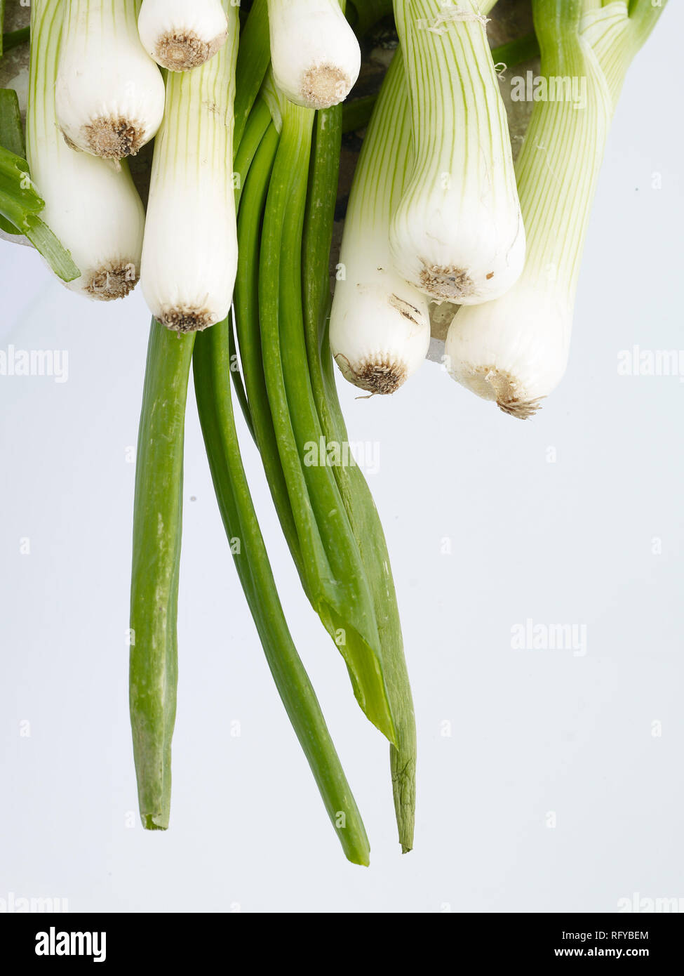 Spring onions, scallion, vegetable food still-life photograph Stock ...