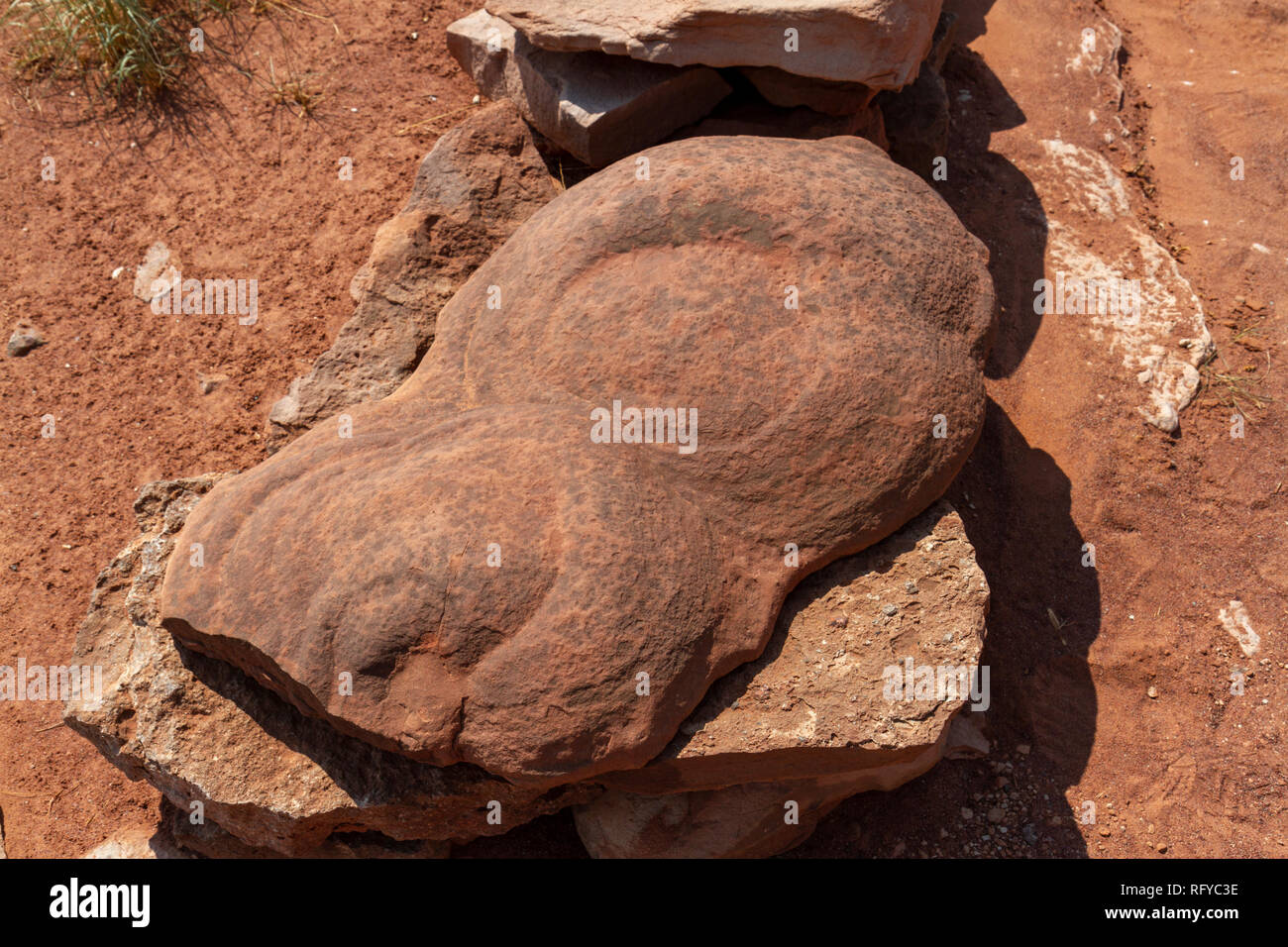 Concretions hi-res stock photography and images - Alamy