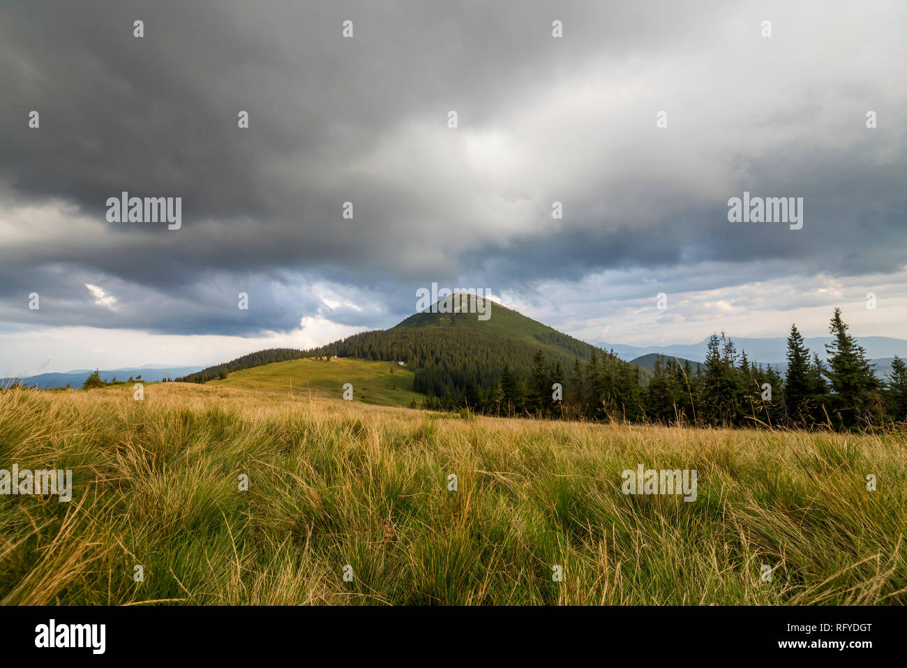 Panoramic view of green grassy valley, pine trees and rural small ...