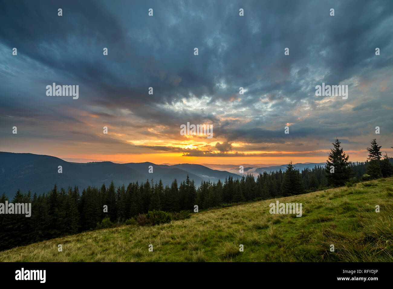 Mountain landscape at sunset. Panoramic summer view of green grassy ...